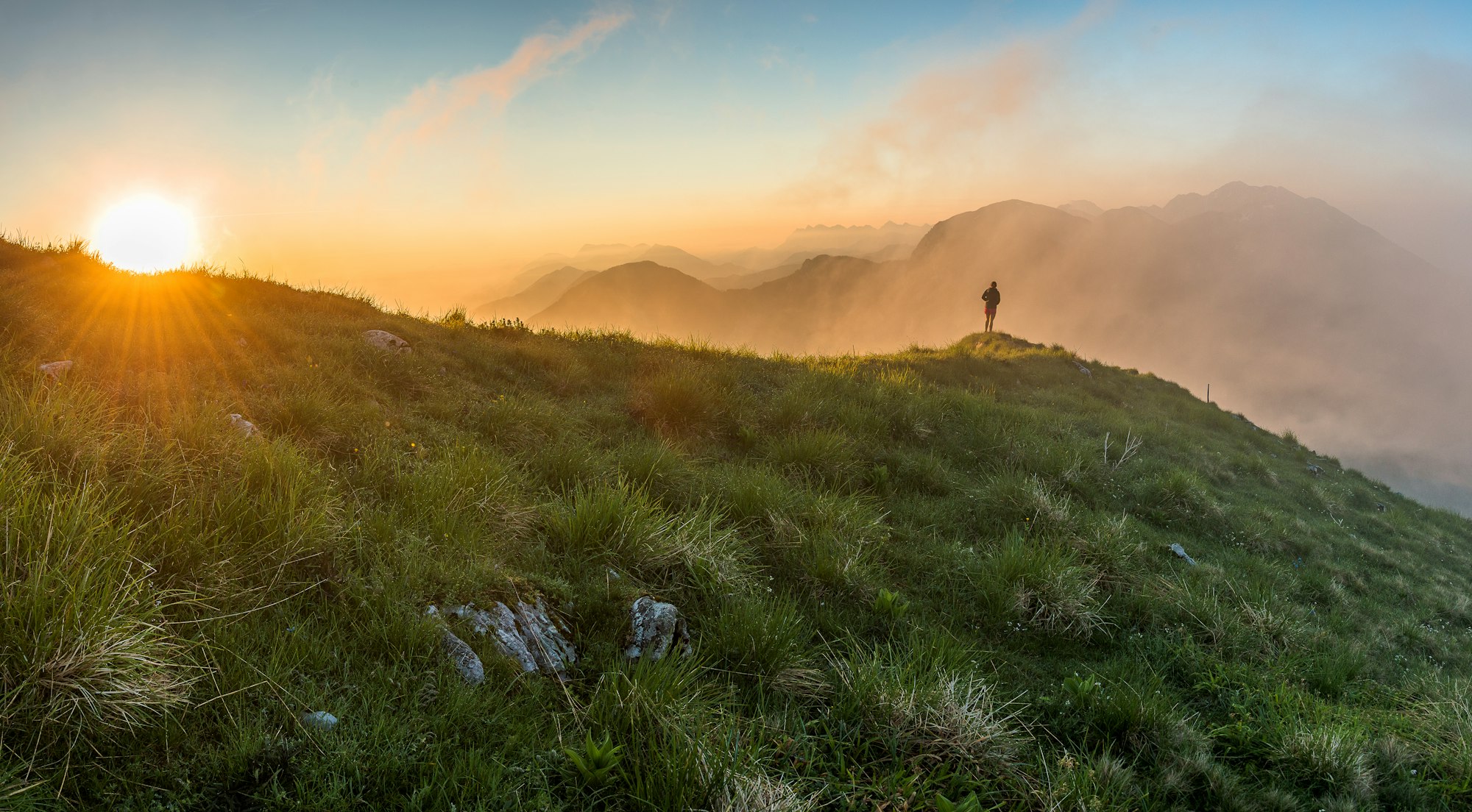 Early Lessons of Calmfidence® - Patricia Stark Communications